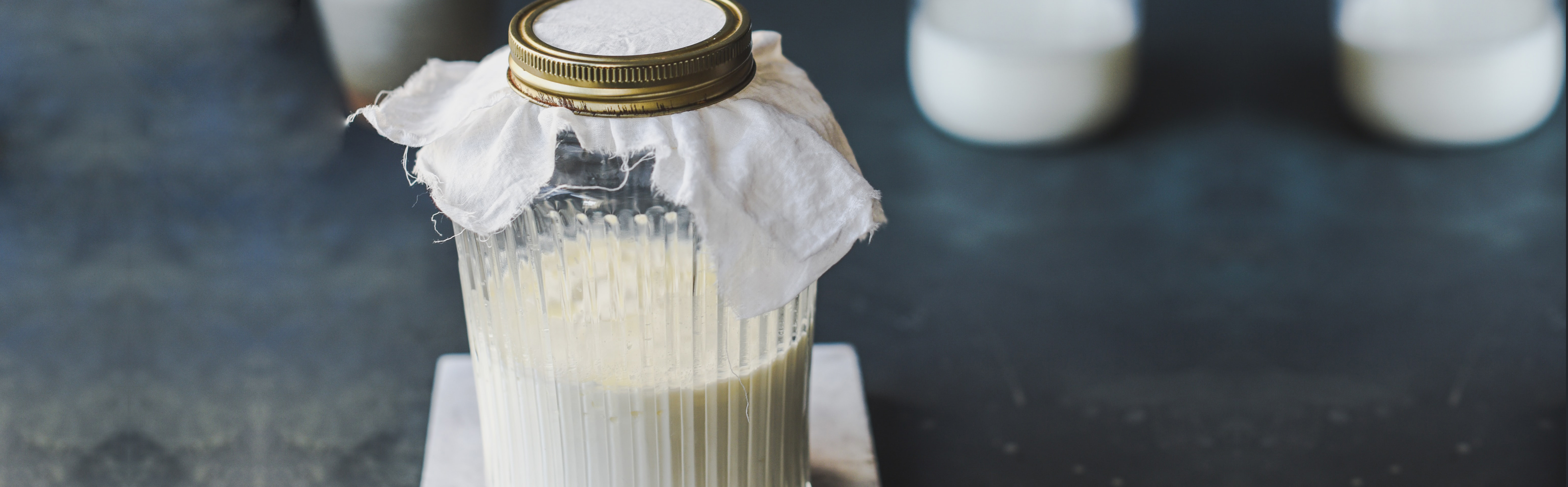 Making your own kefir: A recipe for wellbeing – Positive Seeds