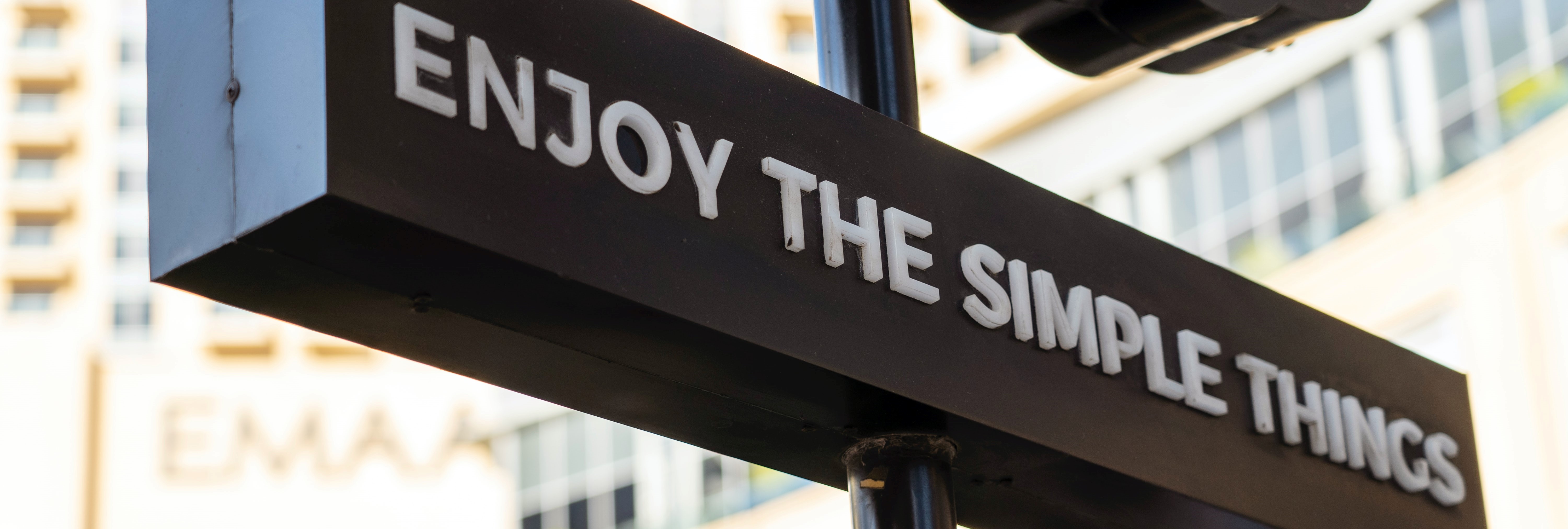 Blogs & Essays – Positive Seeds